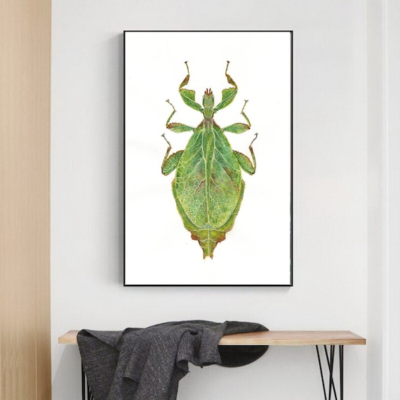 Insect Art Print. Watercolor Bug. Large Insect Wall Decor. - Etsy