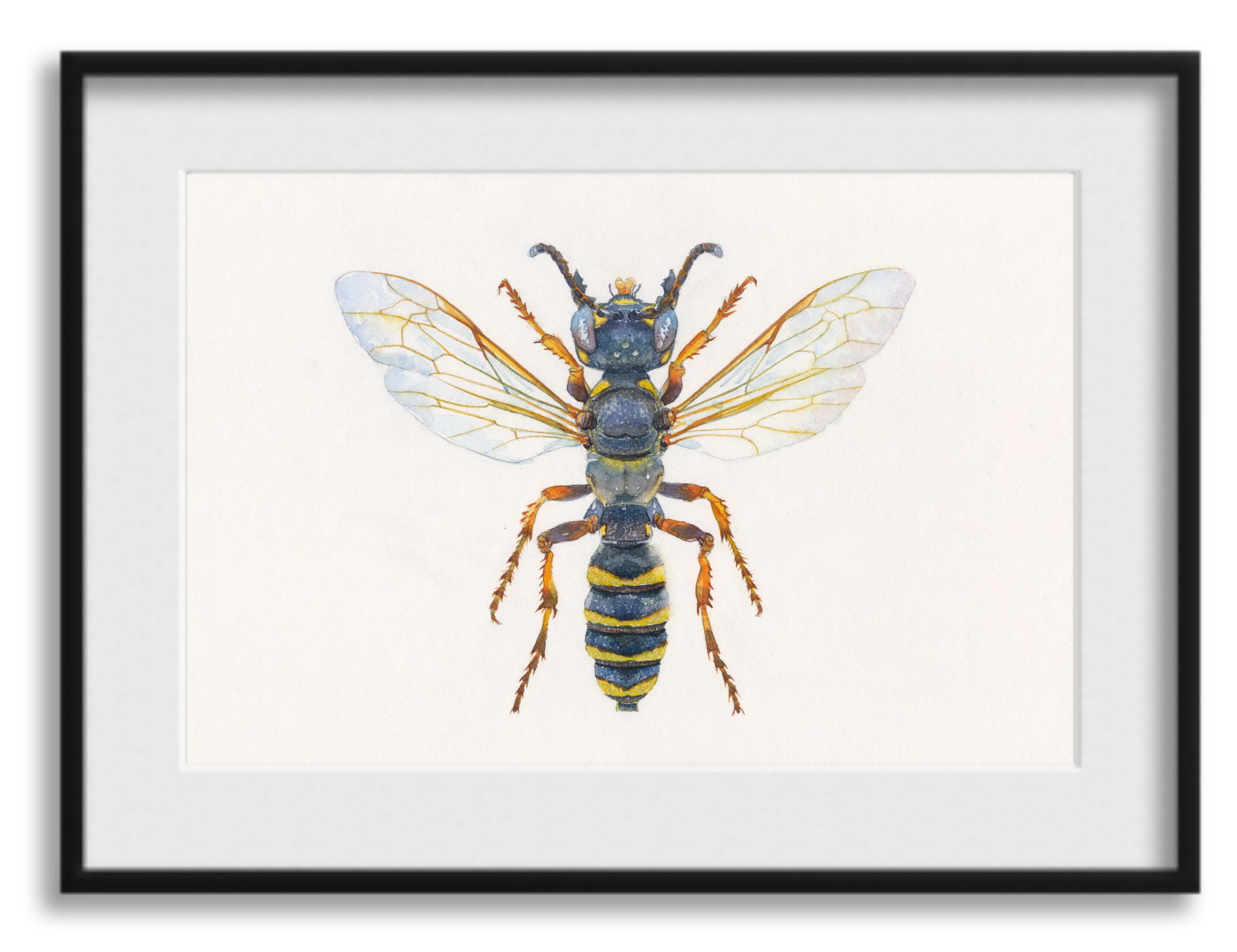 Wasp Art Print. Watercolor Insect. Wasp Wall Decor. Insect - Etsy