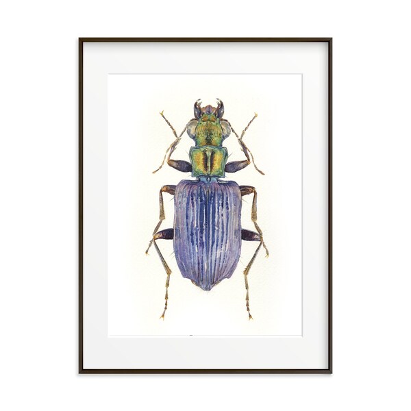 Beetle Art - Etsy