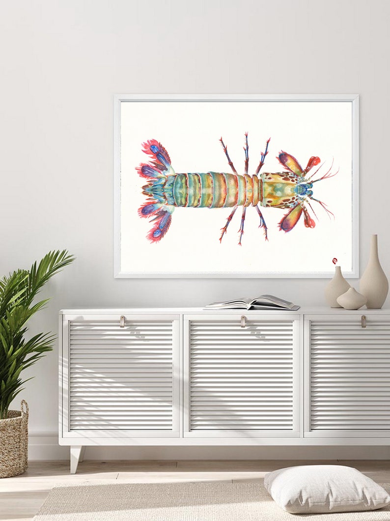 Mantis Shrimp Wall Art. Watercolor Giclee Print. Sea Life Wall | Etsy