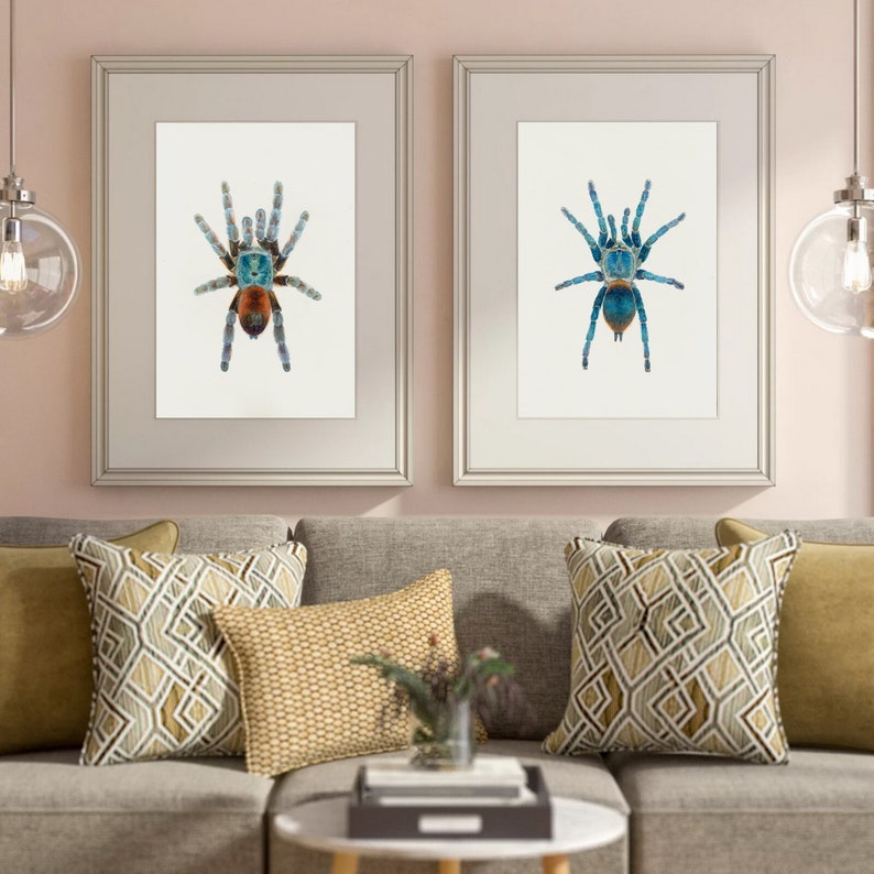 Tarantula Watercolor Print Set: Greenbottle & Cobalt Blue Spiders - Etsy