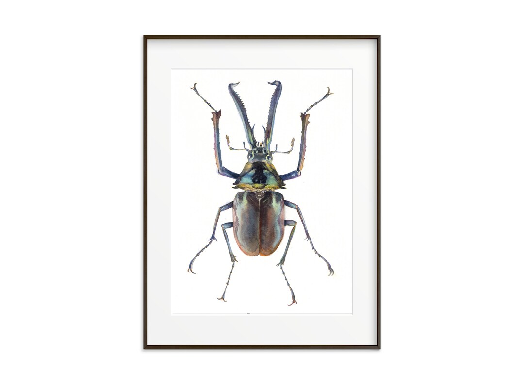 Insect Art Print. Watercolor Bug. Large Insect Wall Decor. Insect ...