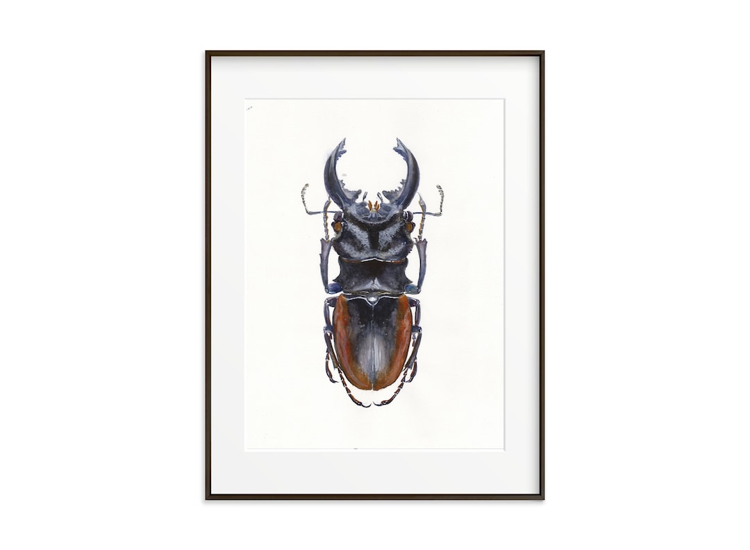Stag Beetle Art Print. Watercolor Bug. Large Insect Wall Decor. Insect ...