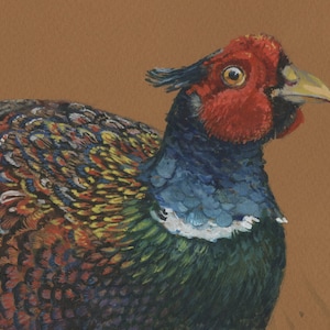 Pheasant Original Watercolor Painting. Pheasant Hunting Gift. Pheasant ...