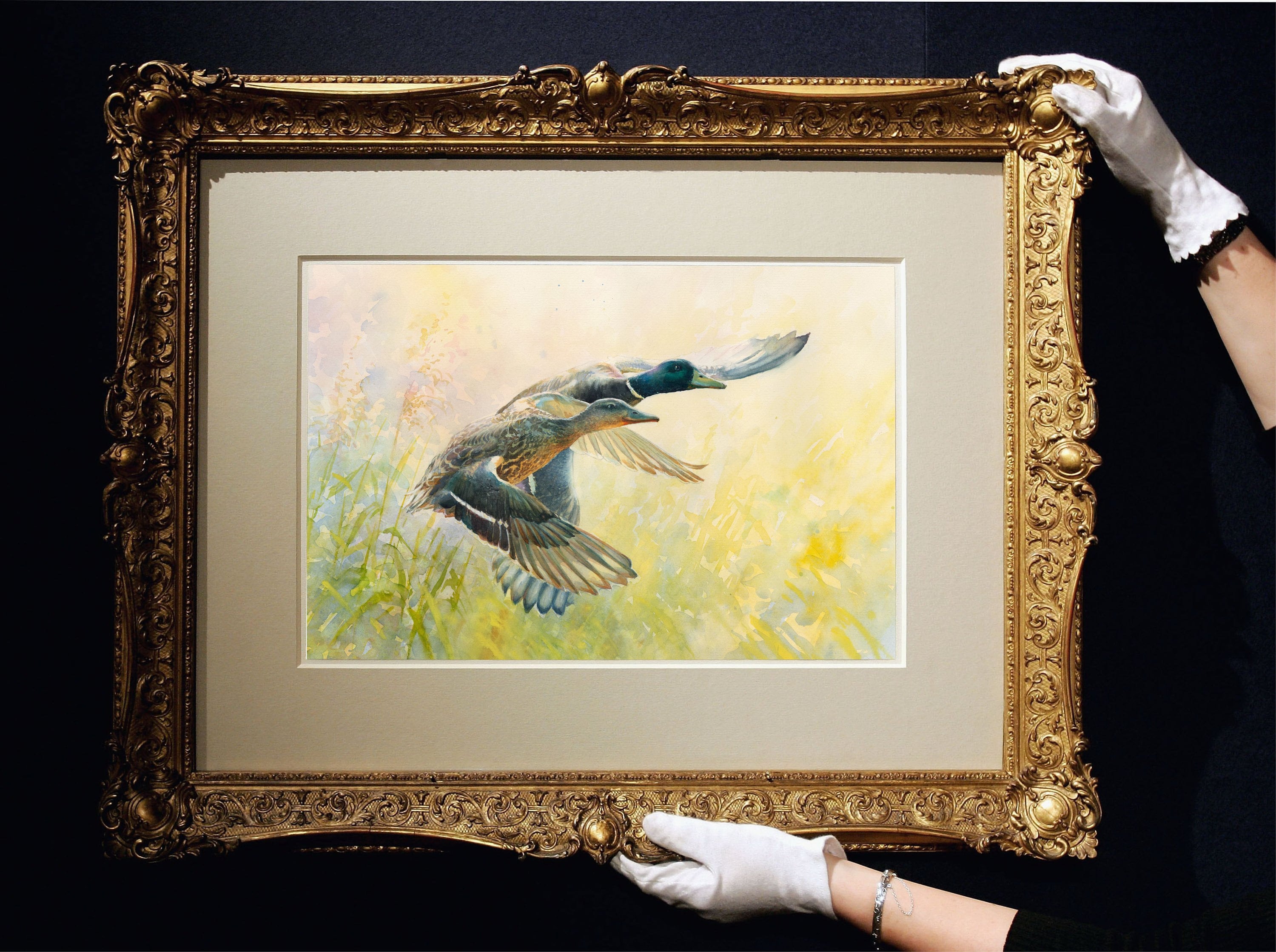 Wild Ducks Watercolor Original Painting. Wild Ducks Gift Wild - Etsy