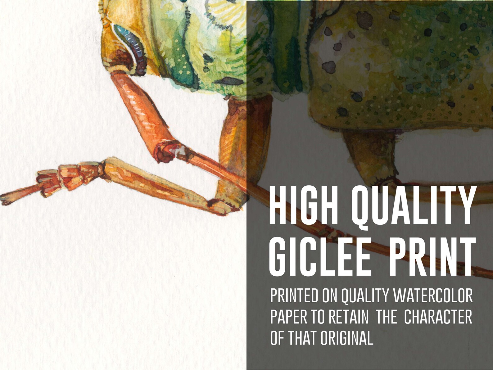 Beetle Art Print. Watercolor Bug. Insect Wall Decor. Insect | Etsy