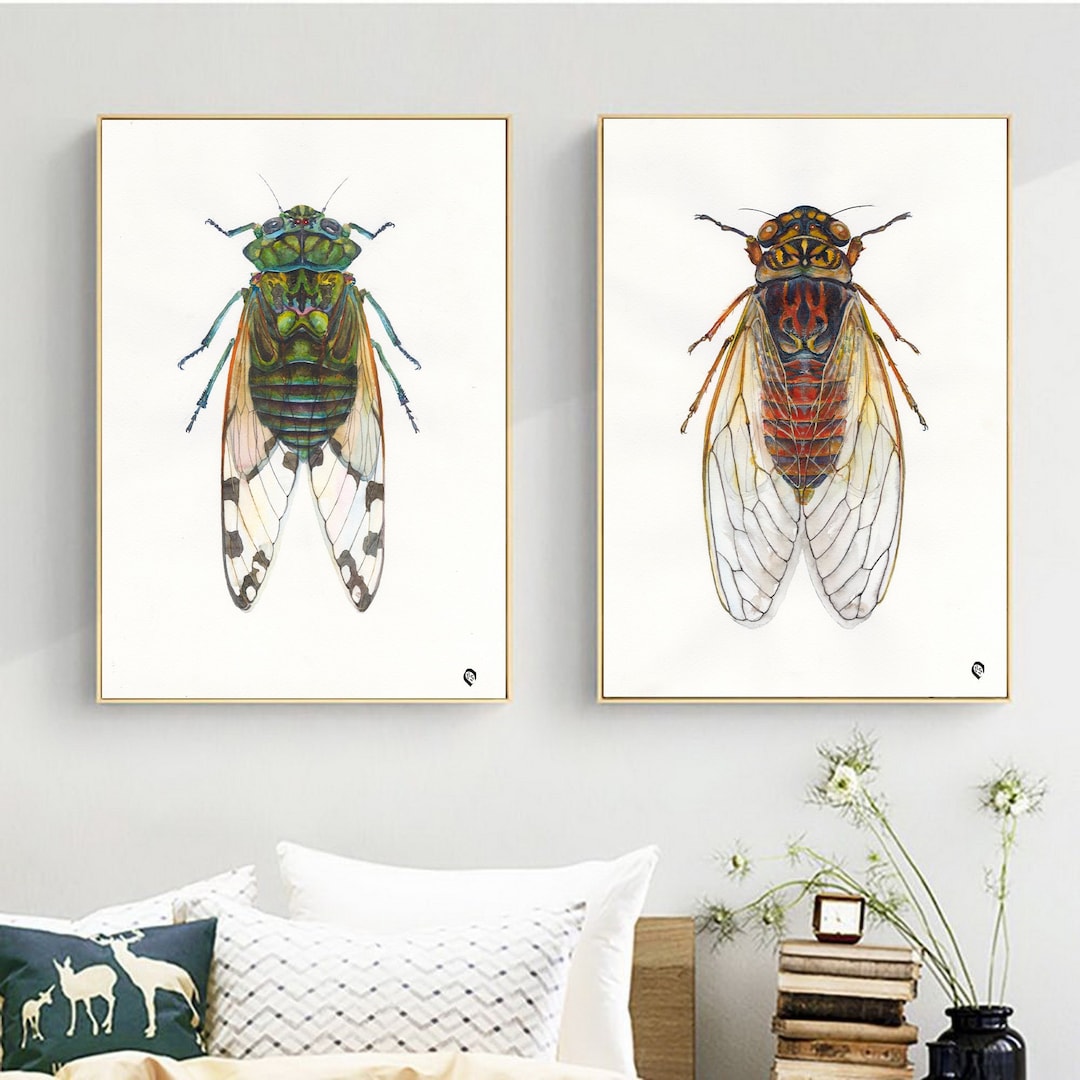 Cicada Set of 2 Art Prints From an Original Watercolour - Etsy