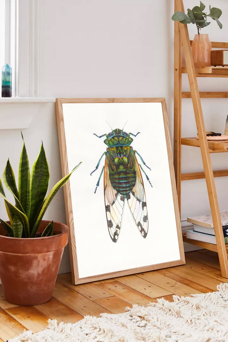 Cicada Art Print. Watercolor Painting Large Insect Wall Decor. | Etsy