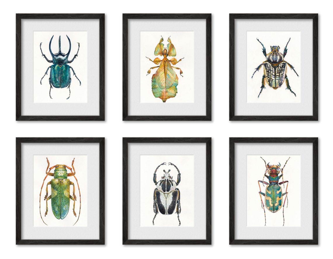 Beetles Art Prints Set of 6. Watercolor Bugs. Insects Wall | Etsy