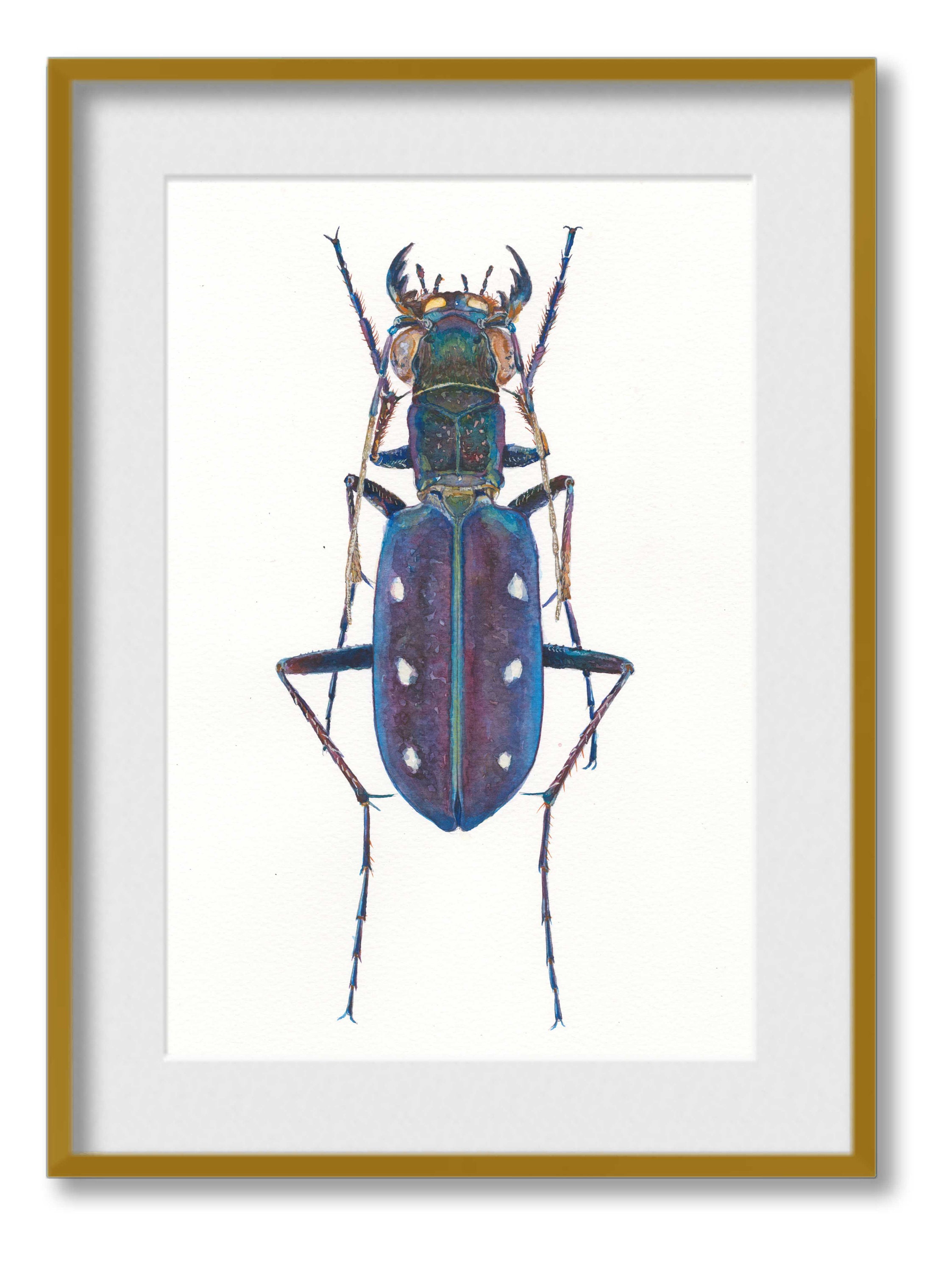 Beetles Art Prints Set of 6. Watercolor Bugs. Insects Wall Decor ...