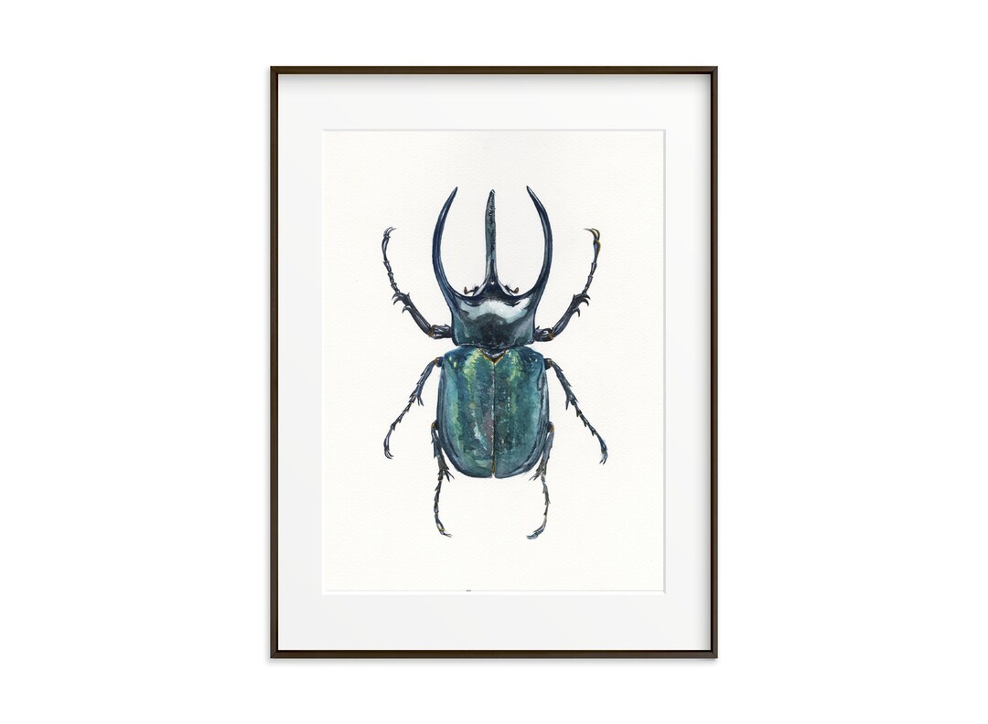 Large Beetle Wall Decor. Watercolor Giclee Print. Bug Art Print. Insect ...