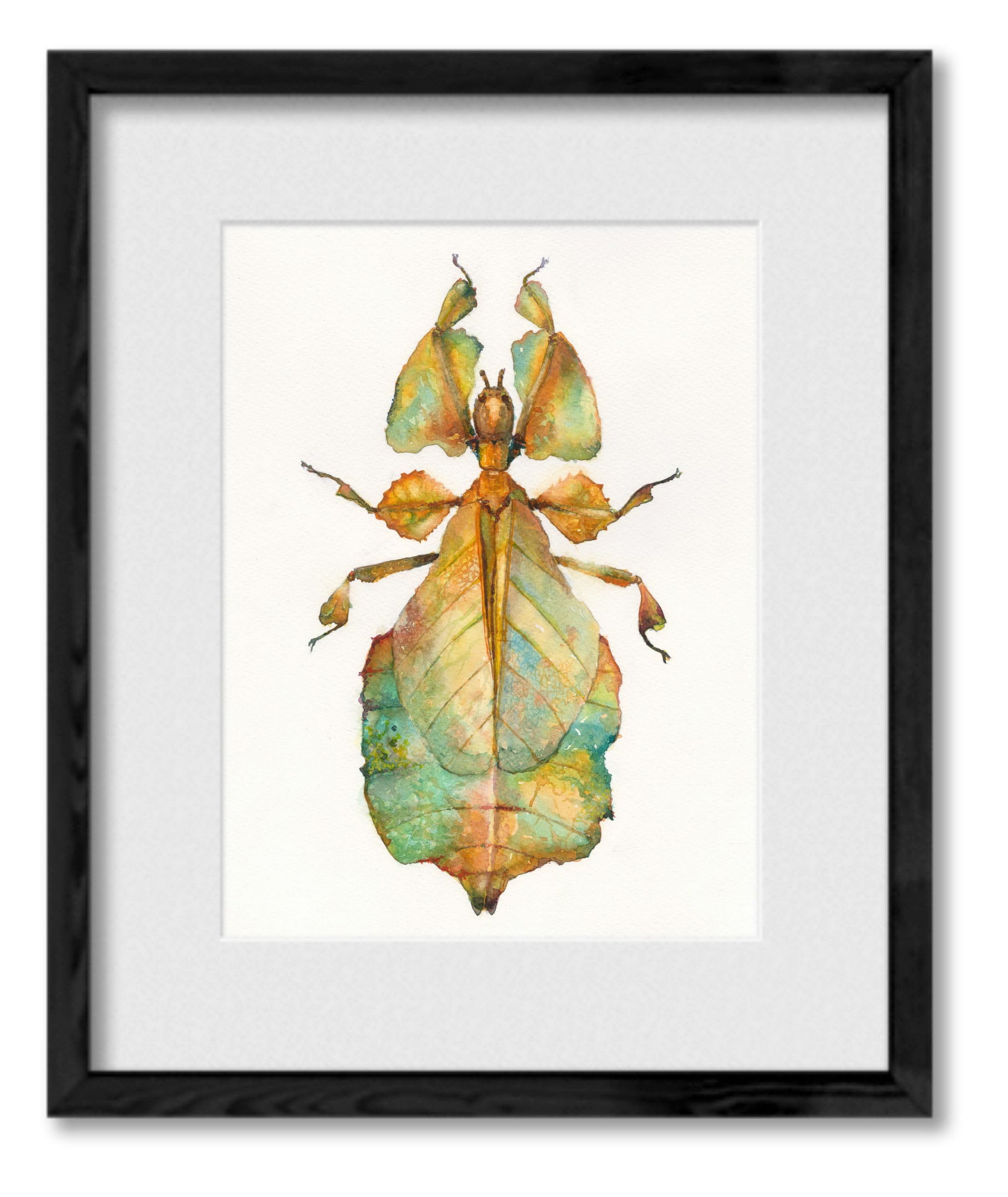 Insect Art Print. Watercolor Bug. Large Insect Wall Decor. | Etsy