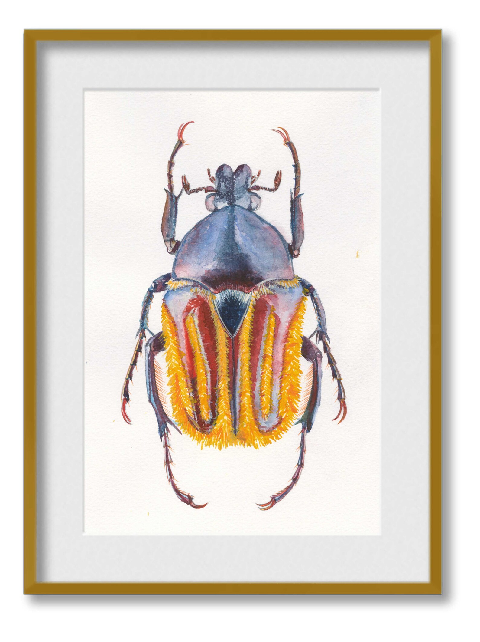 Beetle Wall Decor. Watercolor Giclee Print. Bug art print. | Etsy