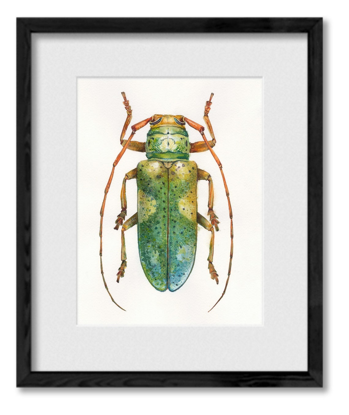 Beetle Art Print. Watercolor Bug. Insect Wall Decor. Insect | Etsy