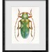 Beetle Art Print. Watercolor Bug. Insect Wall Decor. Insect - Etsy