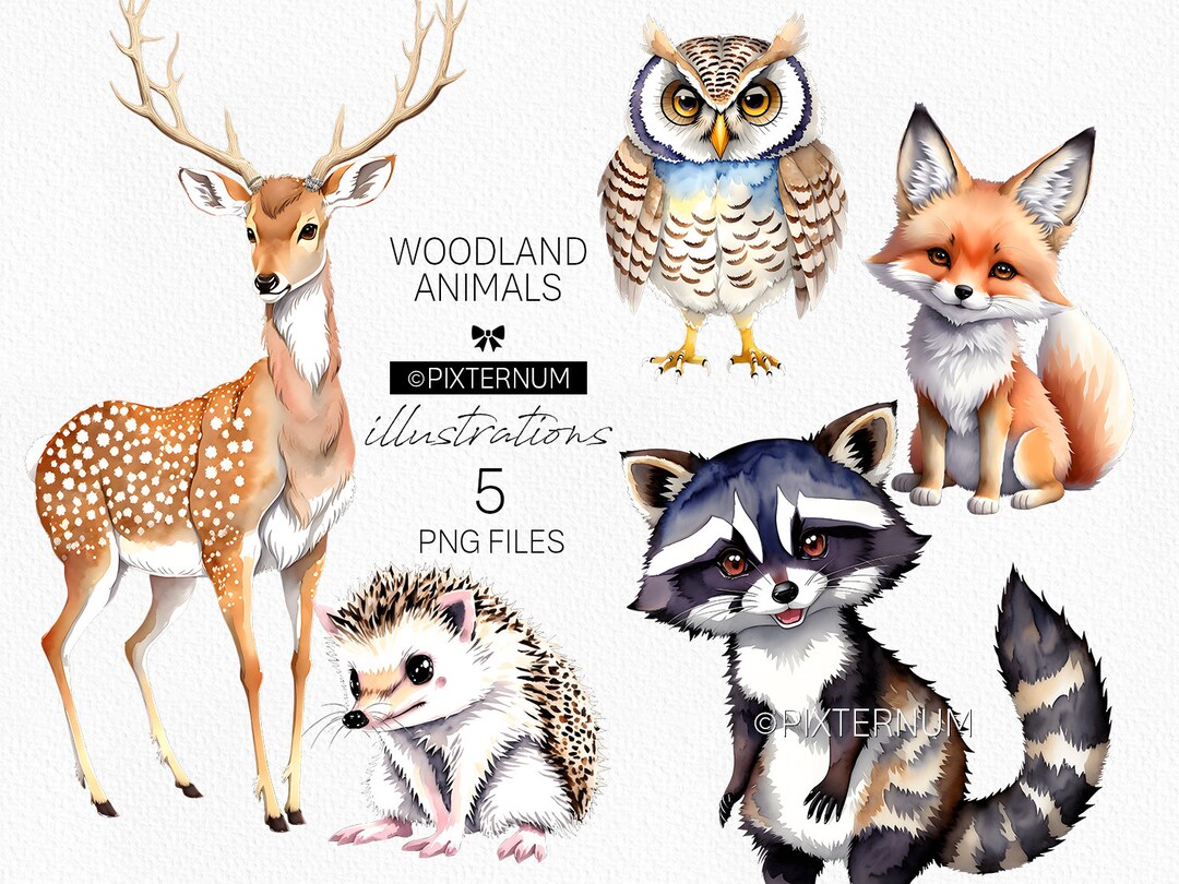 Cute Woodland Animals Clip Art Pack, Watercolor Animals Clipart by ...