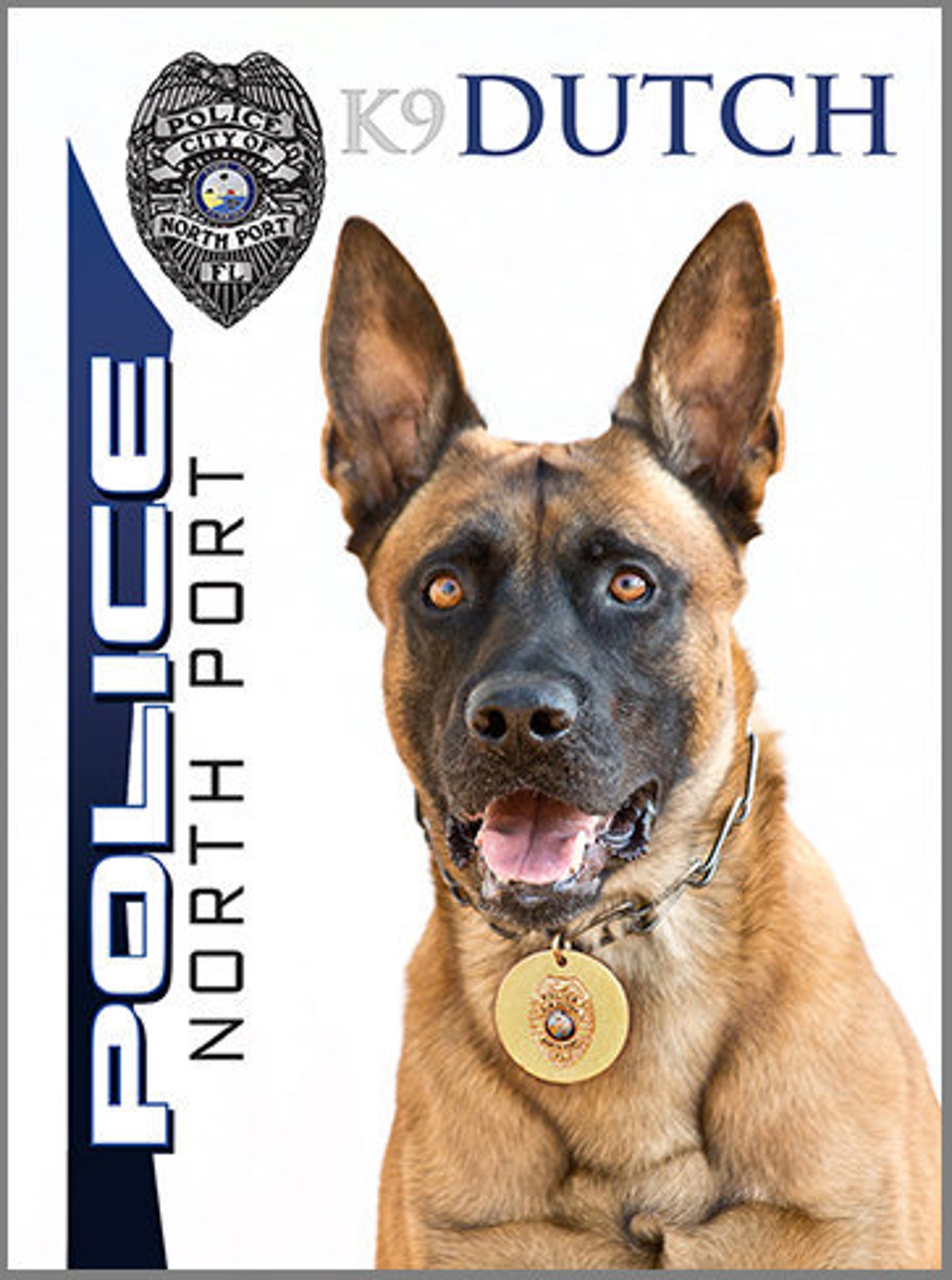 Set of 1000 Custom K9 Team Trading Cards, Agency Branded Hero Cards ...