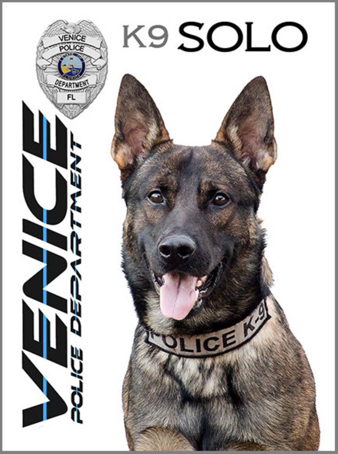 Set of 1000 Custom K9 Team Trading Cards, Agency Branded Hero Cards ...