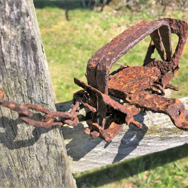 Antique Bear Trap - Etsy