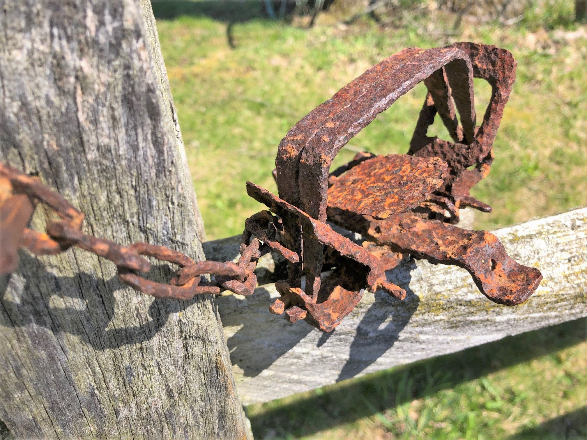 Old Animal Traps