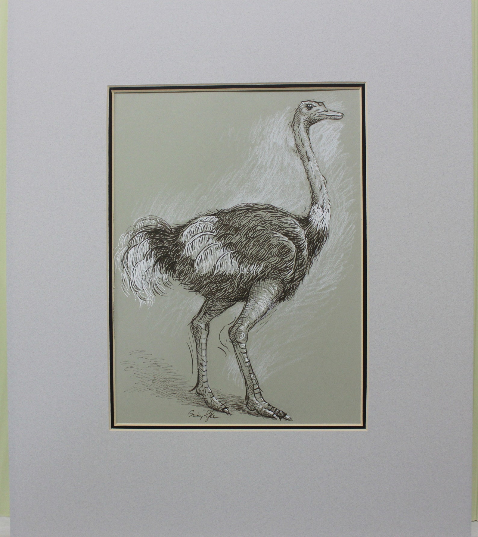 Ostrich Drawing Original Artwork Natural World Exotic Bird | Etsy