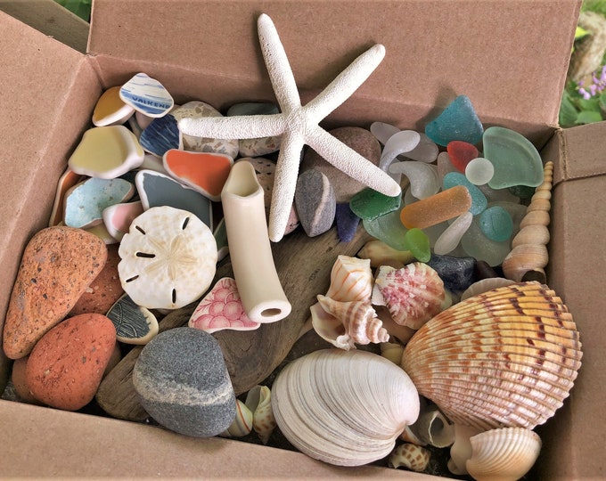 BIG BEACH BOX 4 Lbs! Beach Items, Beach Combing Treasures, Sea Glass ...