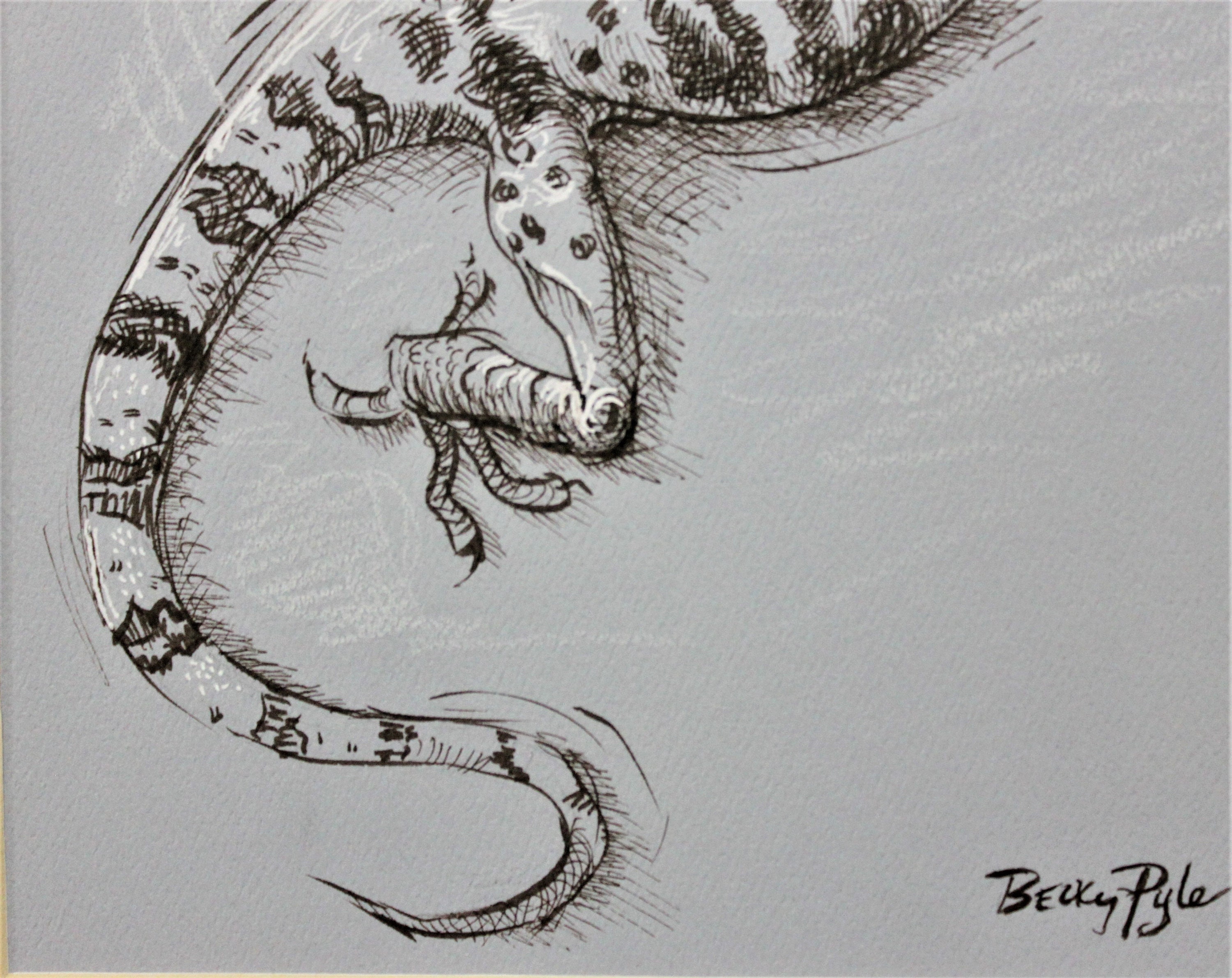 Gecko Drawing, Original Artwork, Lizard Art, Reptile Art, Outdoor ...