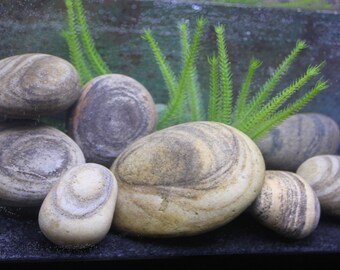 Eye of the Storm | Etsy