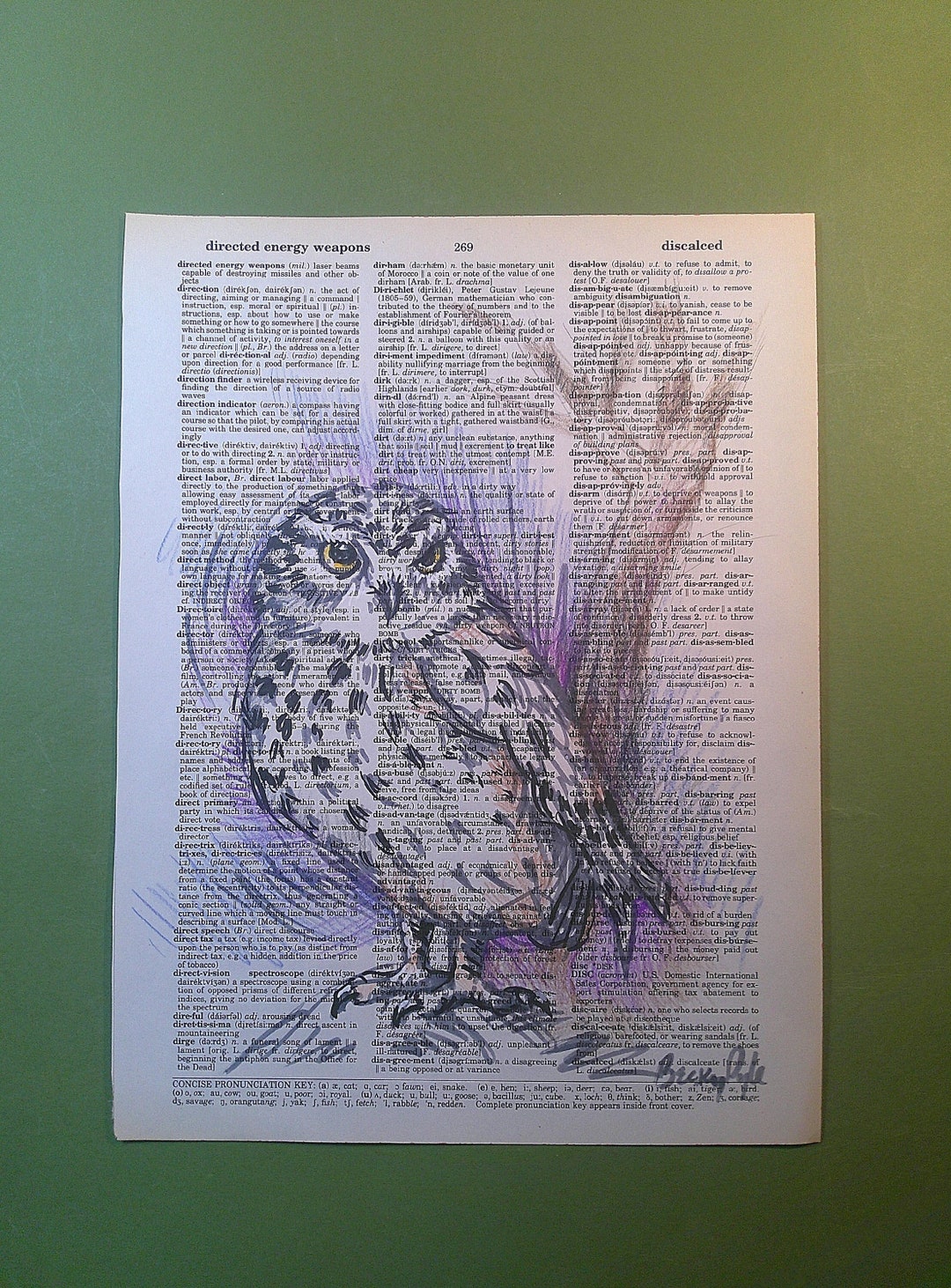OWL DICTIONARY ART Original Owl Colored Drawing on Vintage Dictionary ...