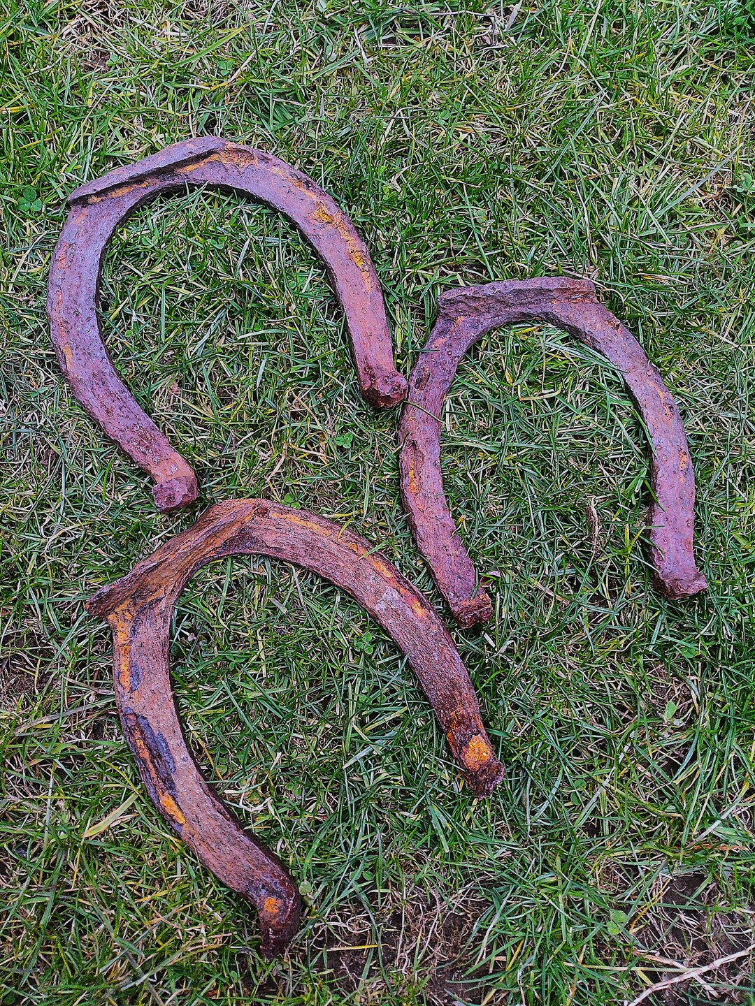 RUSTY RUSTIC HORSESHOES Set of 3 Old Horseshoes, Antique Horseshoes, Old Farm Find, Horseshoes ...