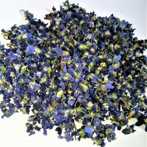 Violet Clovers Dried Violet Organic Sweet Violet Flowers 5 Grams - Etsy