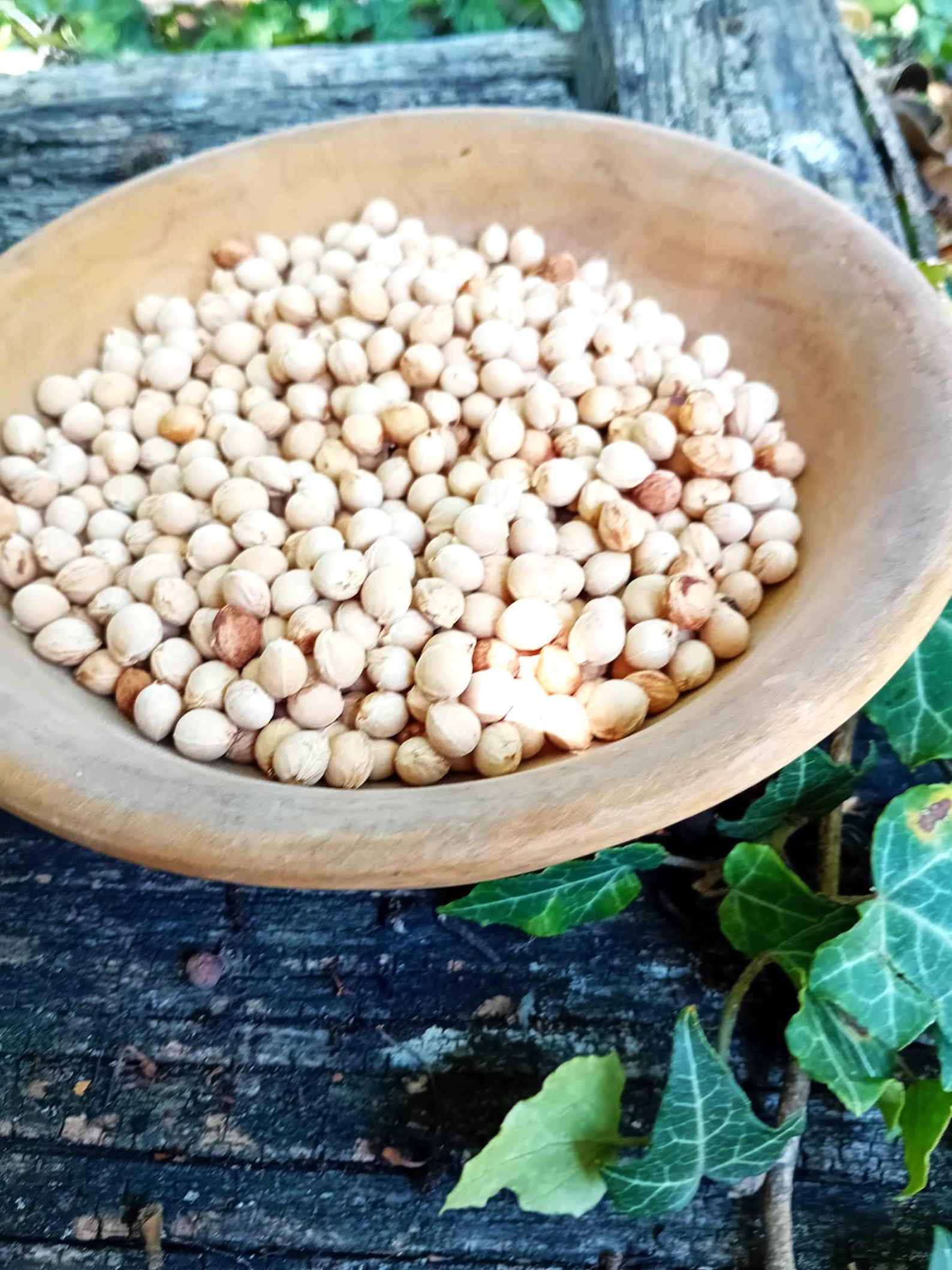 Cherry Pits 150g - Etsy