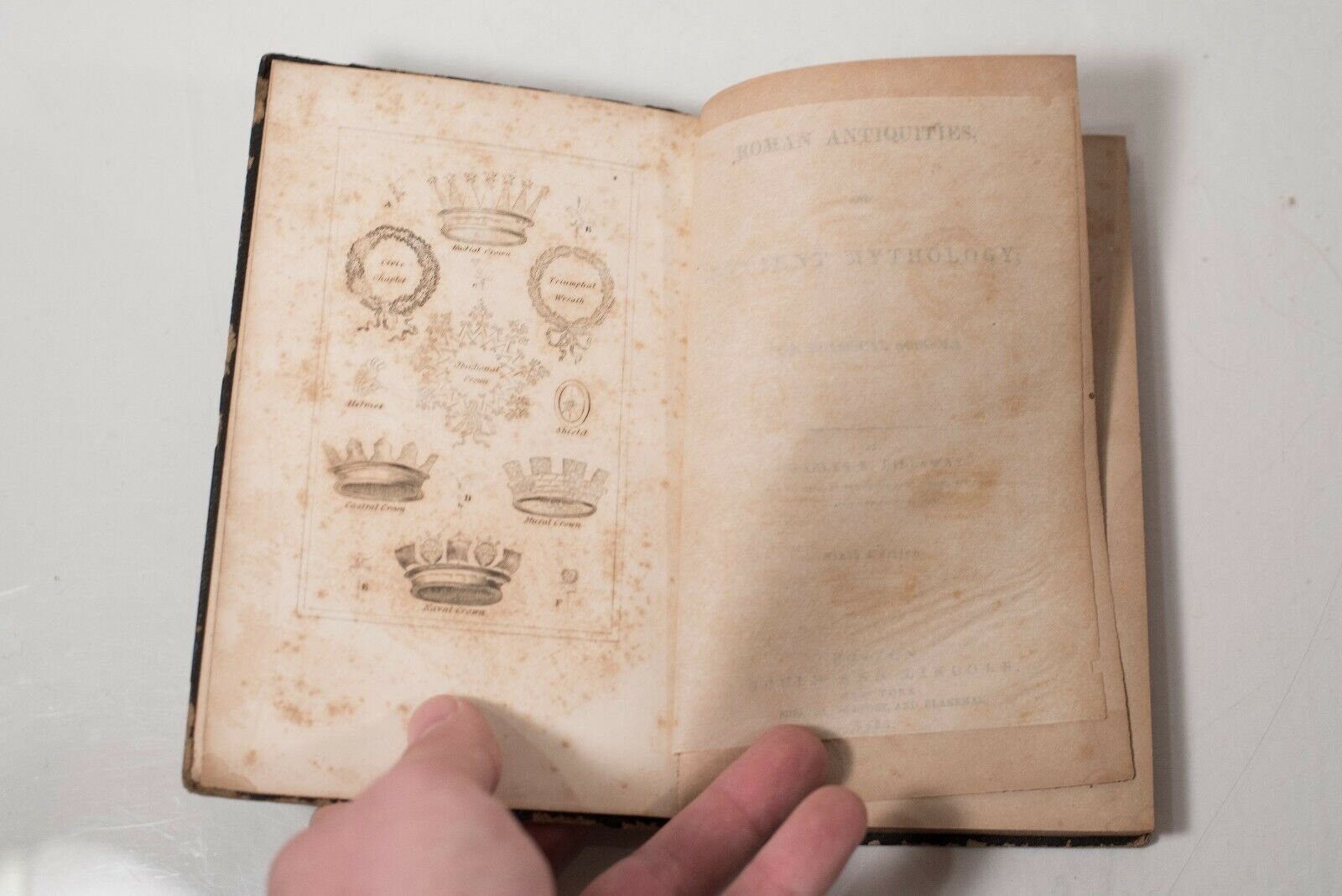 Roman Antiquities and Ancient Myth RARE Antique Book 1854 by | Etsy