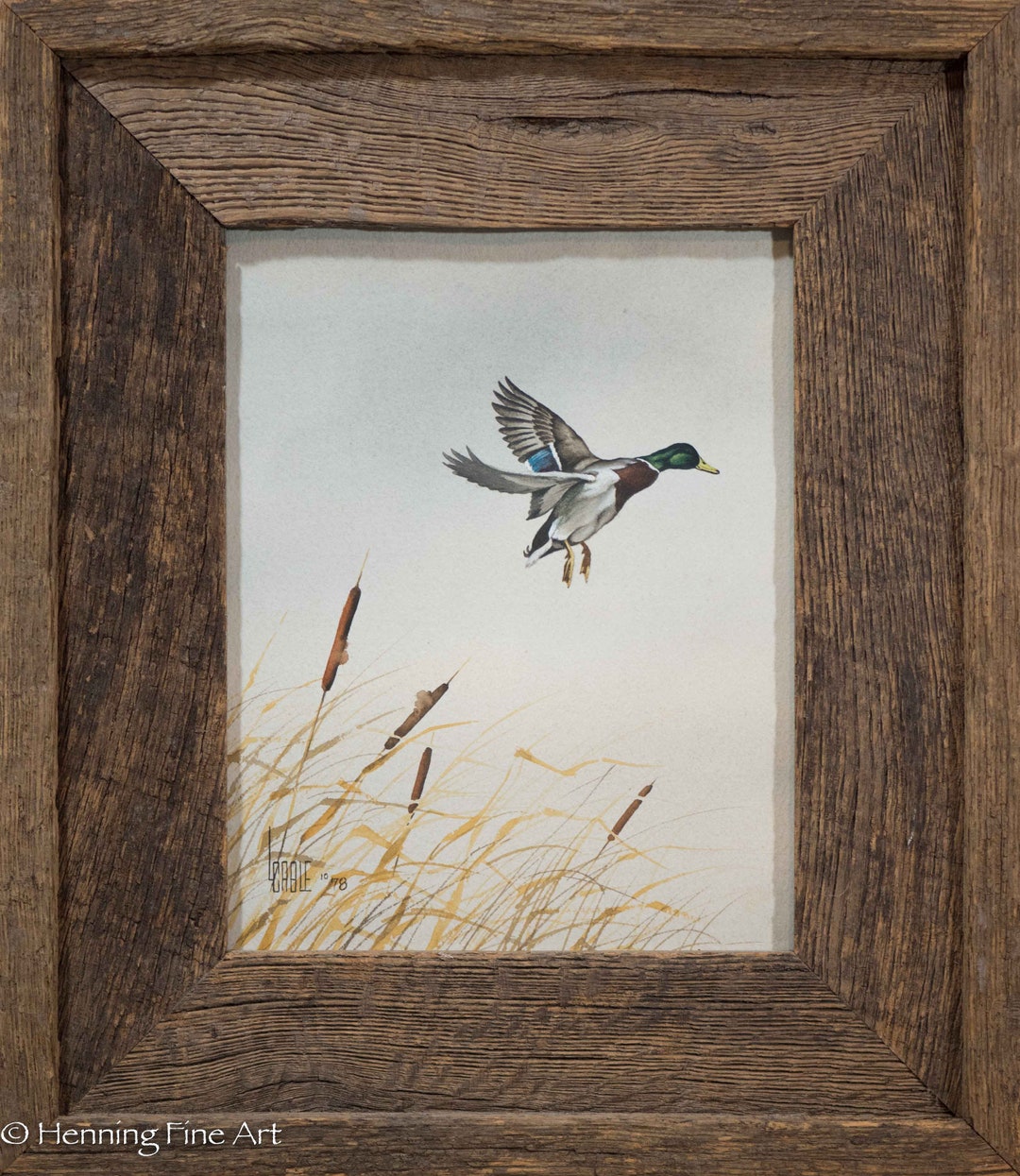 Lee Cable Watercolor Painting of Flying Mallard Duck Over Cattails ...