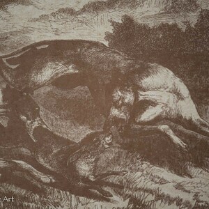 Rare Vintage Dog Coursing Certificate Print, German Ingolstadt ...