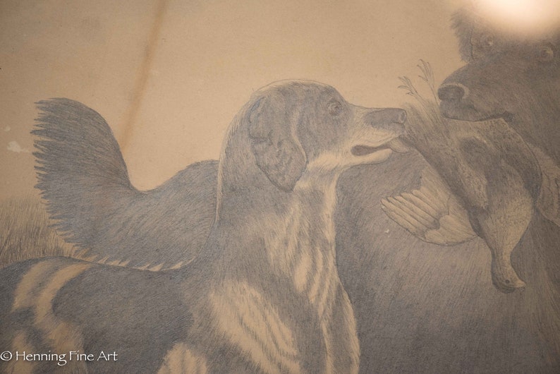 Antique 19th Century Pencil Drawing of Two Dogs With Bird, Framed ...