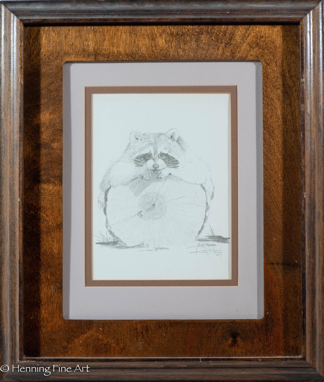 Beautiful Rare Ray Harm Raccoon on Log Lithograph Signed & Finely ...