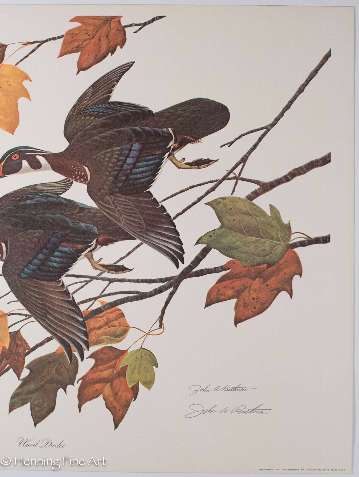 John Ruthven Signed Wildlife Lithograph Wood | Etsy