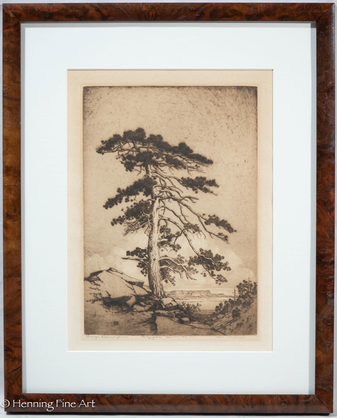 Antique George Burr Etching Sentinel Pine Western Landscape Museum ...