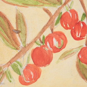 Antique Watercolor Painting by Anne Dane September Hawthorne Red ...