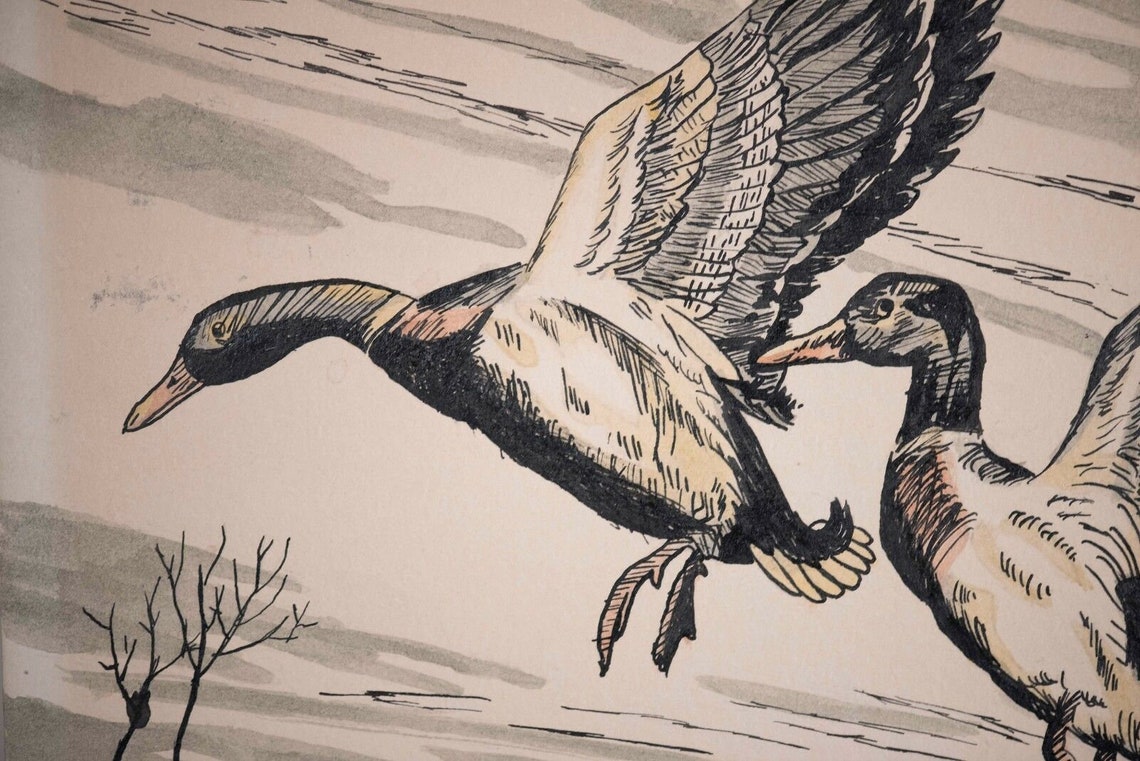 Vintage Ink Drawing of Two Ducks Flying Over Lake w/ Cat | Etsy