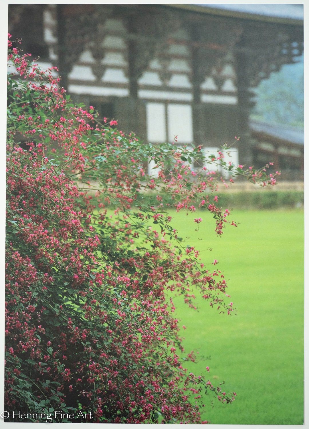 Beautiful Taikichi Irie Japanese Photo Four Seasons Todaiji - Etsy