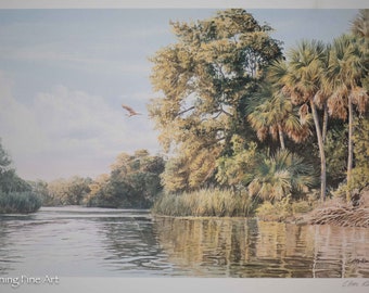 Florida Landscape - Etsy
