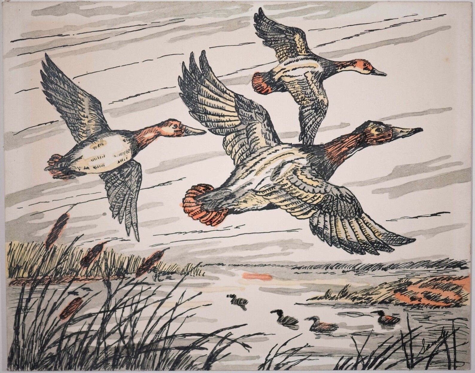 Vintage Ink Drawing of Three Ducks Flying Over Lake W/ Cat - Etsy