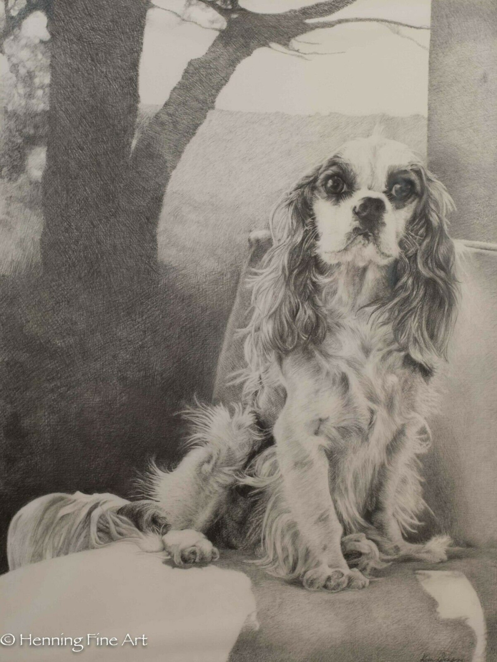 Cocker Spaniel Original Pencil Drawing Large Beautiful | Etsy