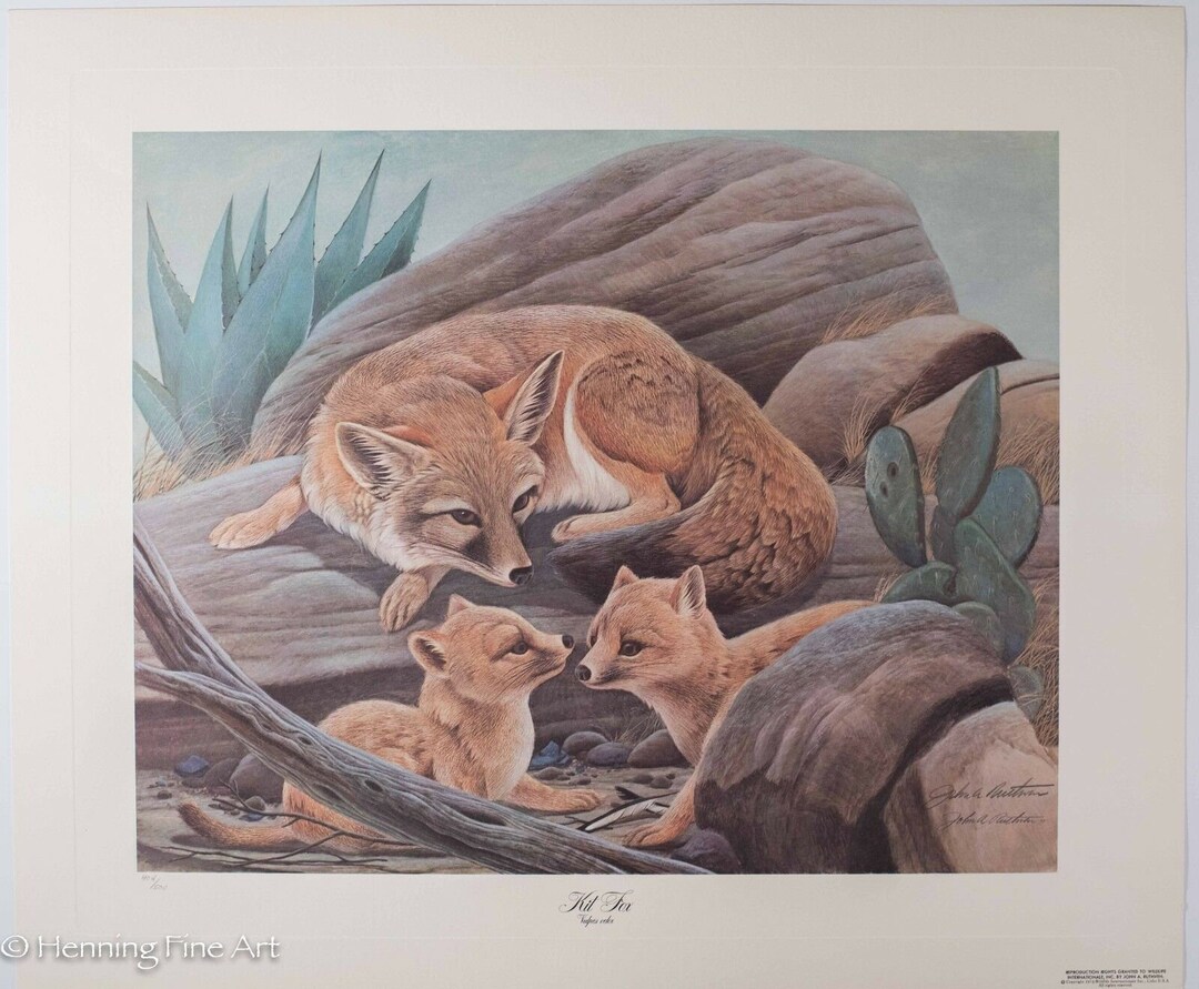 John Ruthven Signed Wildlife Lithograph, "kit Fox" RARE, Price Guide ...