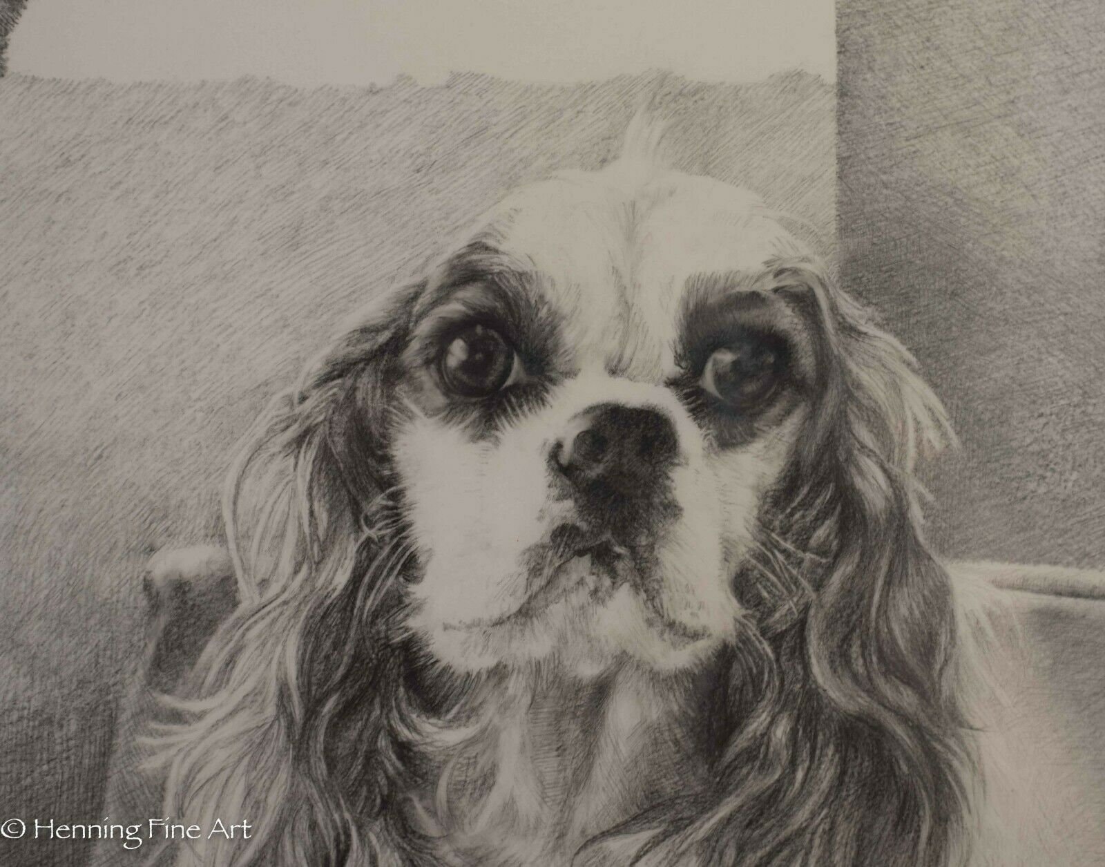 Cocker Spaniel Original Pencil Drawing, Large Beautiful, Illegibly ...
