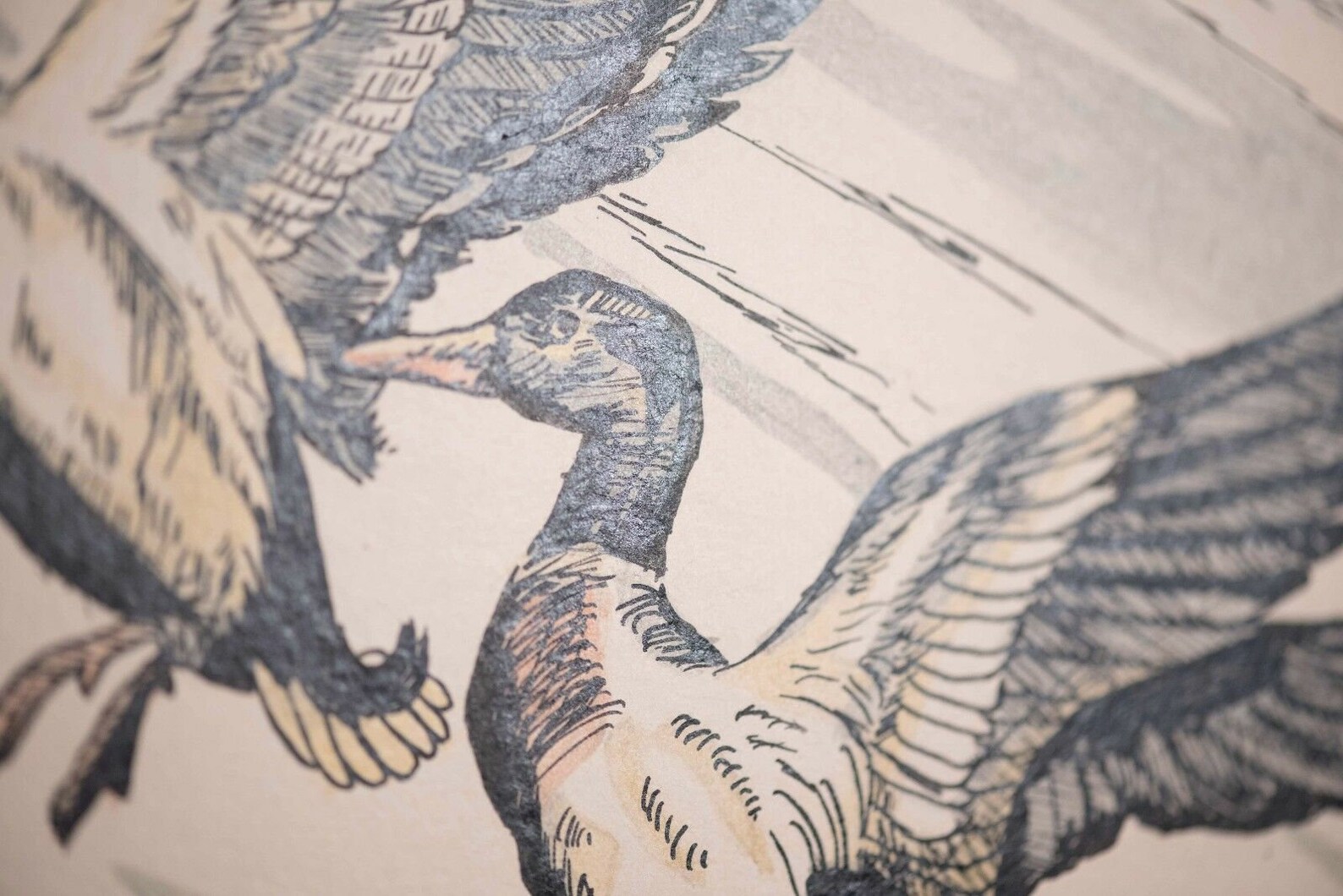 Vintage Ink Drawing of Two Ducks Flying Over Lake w/ Cat | Etsy