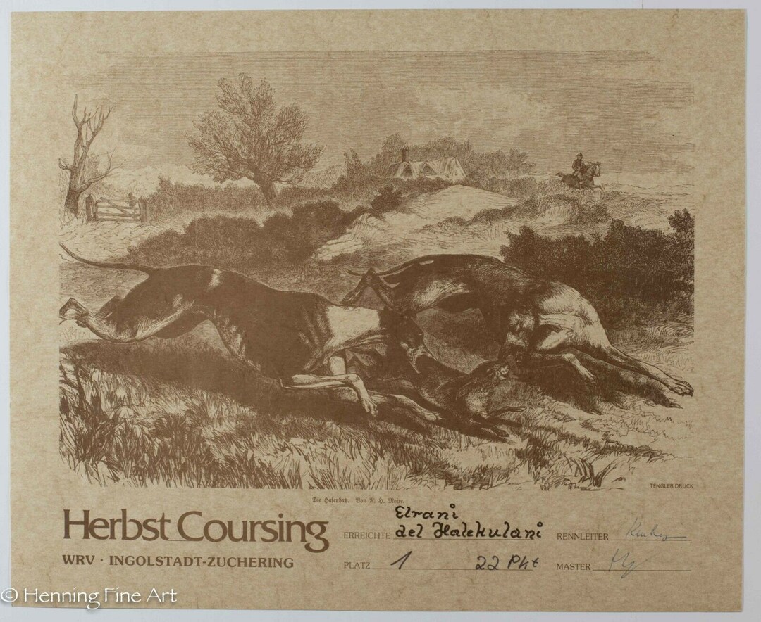 Rare Vintage Dog Coursing Certificate Print, German Ingolstadt ...