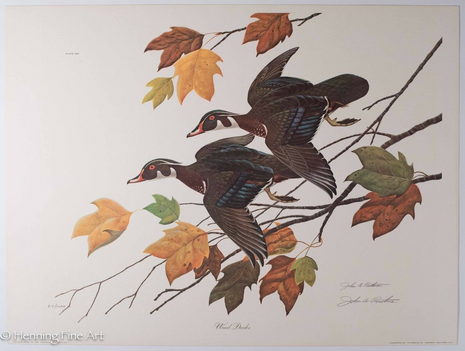 John Ruthven Signed Wildlife Lithograph, "wood Ducks", Price Guide 700 ...